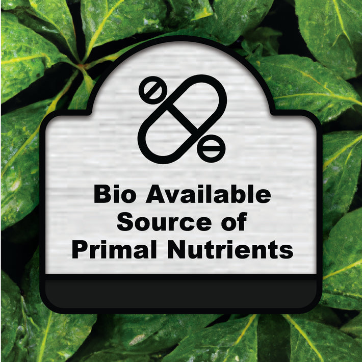 Ancient Origins Grass Fed Beef Organs – Ancient Origins Supplements